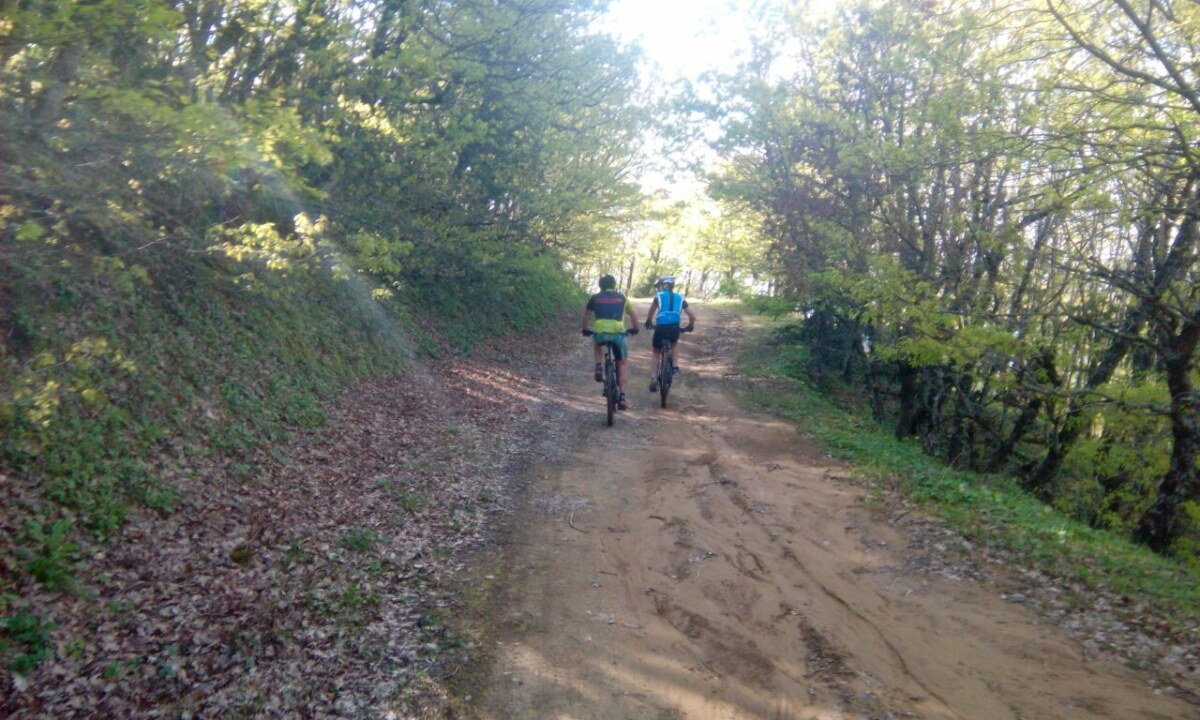 1ος Αγώνας Mountin Bike στη Σπερχειάδα – tvstar.gr