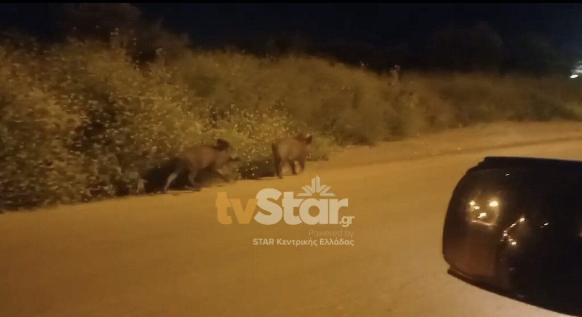 ΦΘΙΩΤΙΔΑ – tvstar.gr