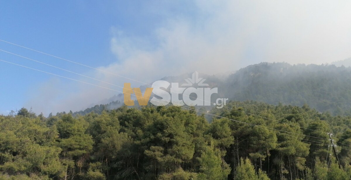 Εύβοια: Σε ύφεση οι 2 εστίες φωτιάς σε δασική έκταση στην Βόρεια Εύβοια ...