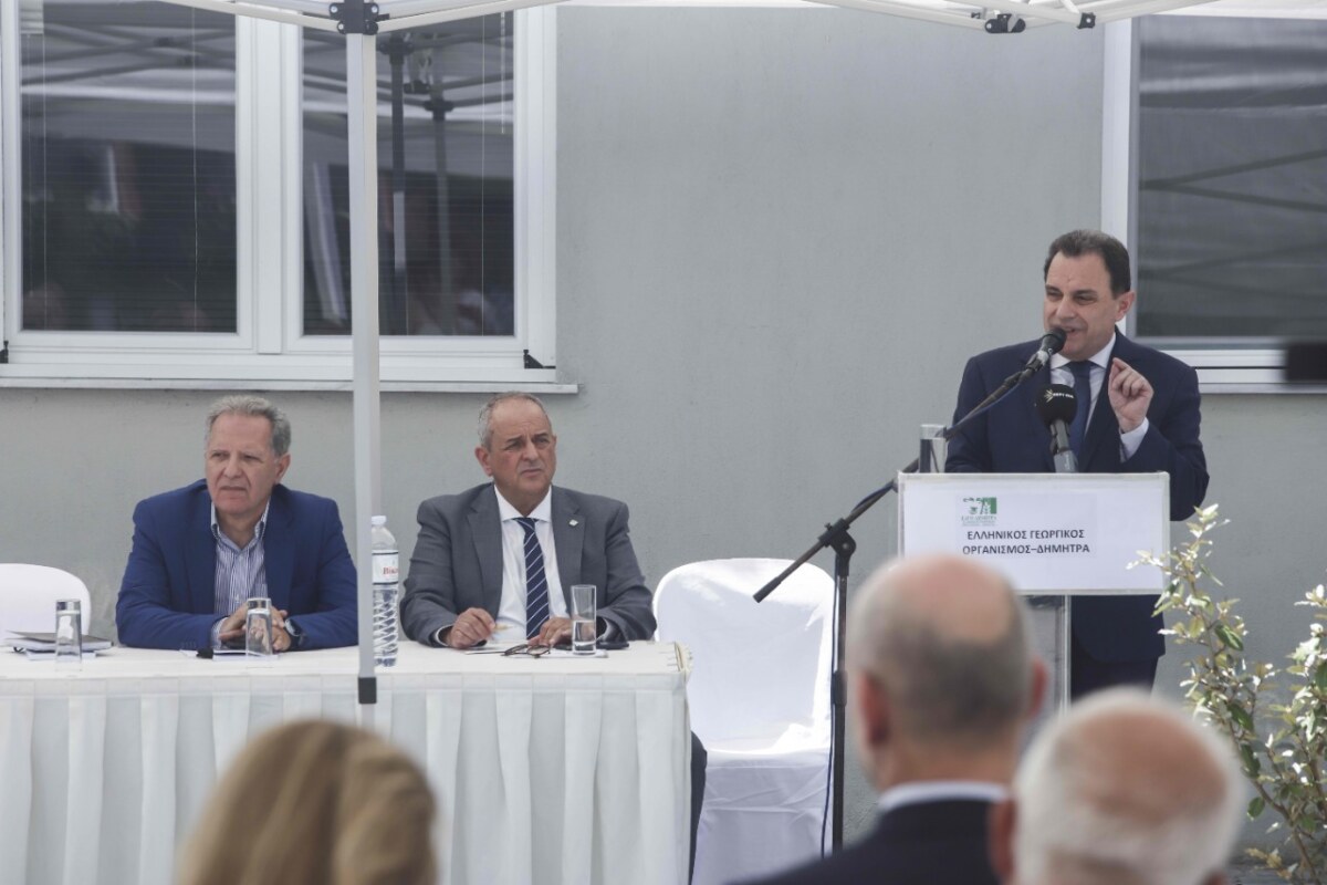 Γ. Γεωργαντάς: Το νέο παραγωγικό μοντέλο πρέπει να στηρίζεται στο ...
