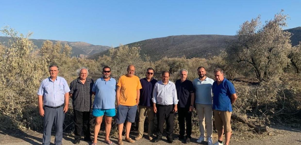 Kλιμάκιο του ΣΥΡΙΖΑ με τον Xρήστο Σπίρτζη, στον πυρόπληκτο Ελαιώνα της ...
