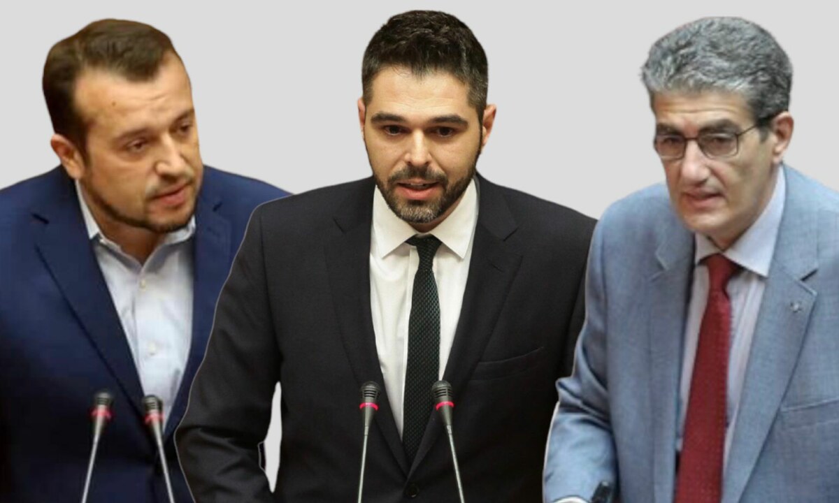 Ο Γιάννης Σαρακιώτης και οι αρμόδιοι τομεάρχες του ΣΥΡΙΖΑ ζητούν ...