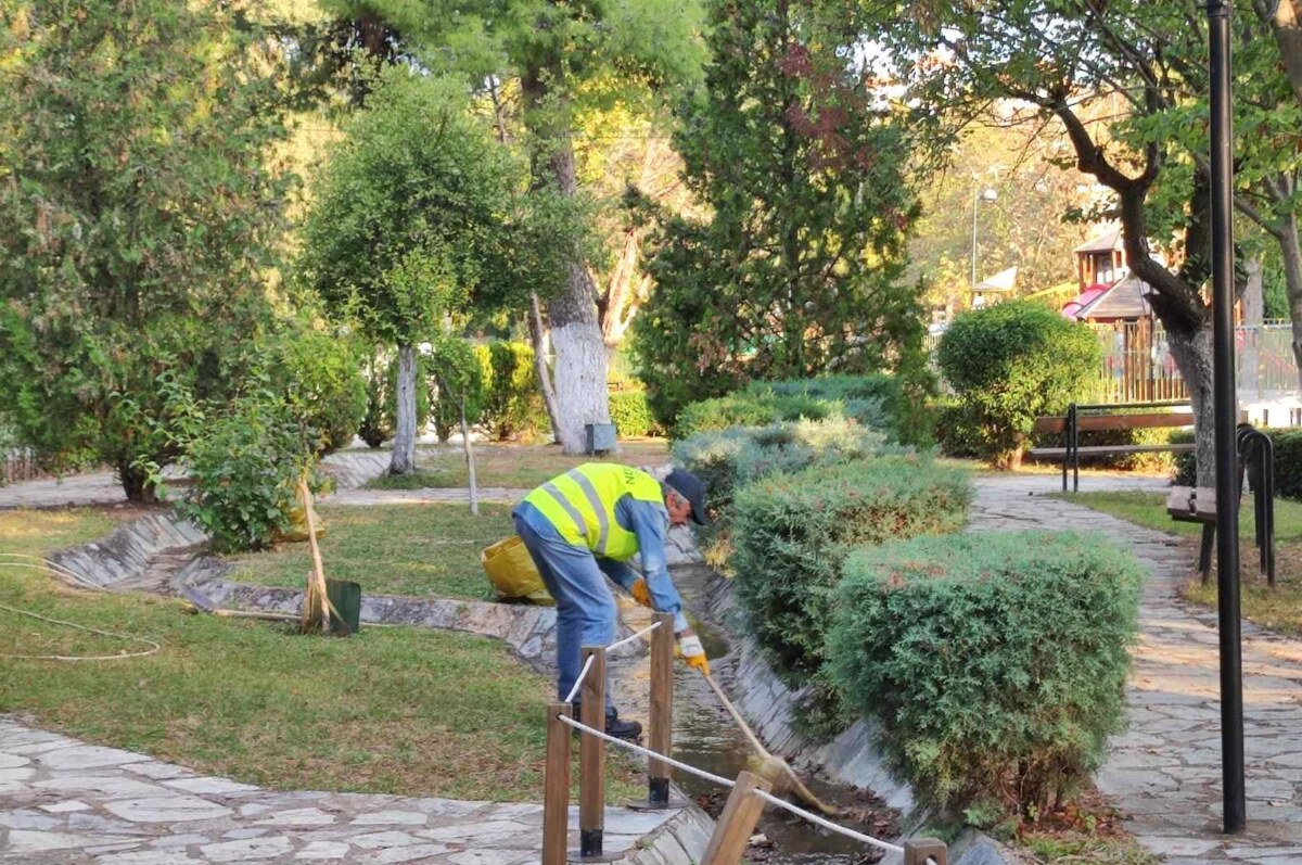 Συνεχίζονται οι παρεμβάσεις καθαριότητας και συντήρησης πρασίνου στη ...