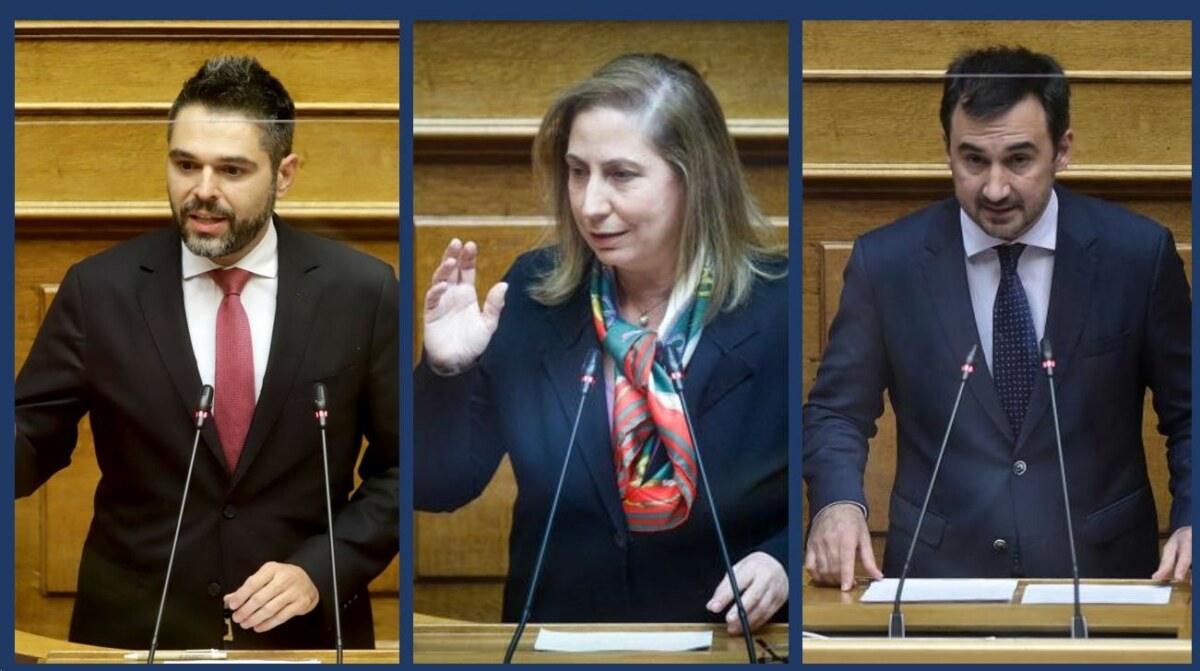 Χαρίτσης, Ξενογιαννακοπούλου και Σαρακιώτης για το ξεπούλημα της ΛΑΡΚΟ ...