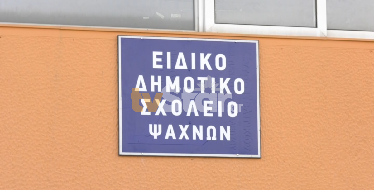 Για πρώτη φορά λειτουργεί από φέτος Ειδικό Σχολείο στα Ψαχνά – tvstar.gr