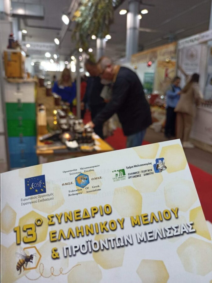 Με μεγάλη επιτυχία και πλήθος επισκεπτών ολοκληρώθηκε το «13ο Φεστιβάλ ...