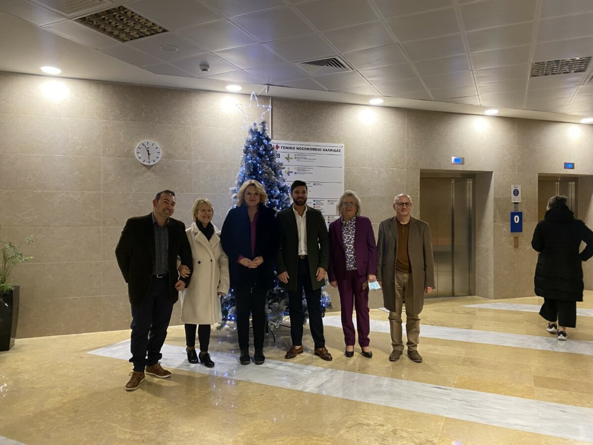 Άναψε το Χριστουγεννιάτικο δέντρο στο Γενικό Νοσοκομείο Χαλκίδας (ΦΩΤΟ ...