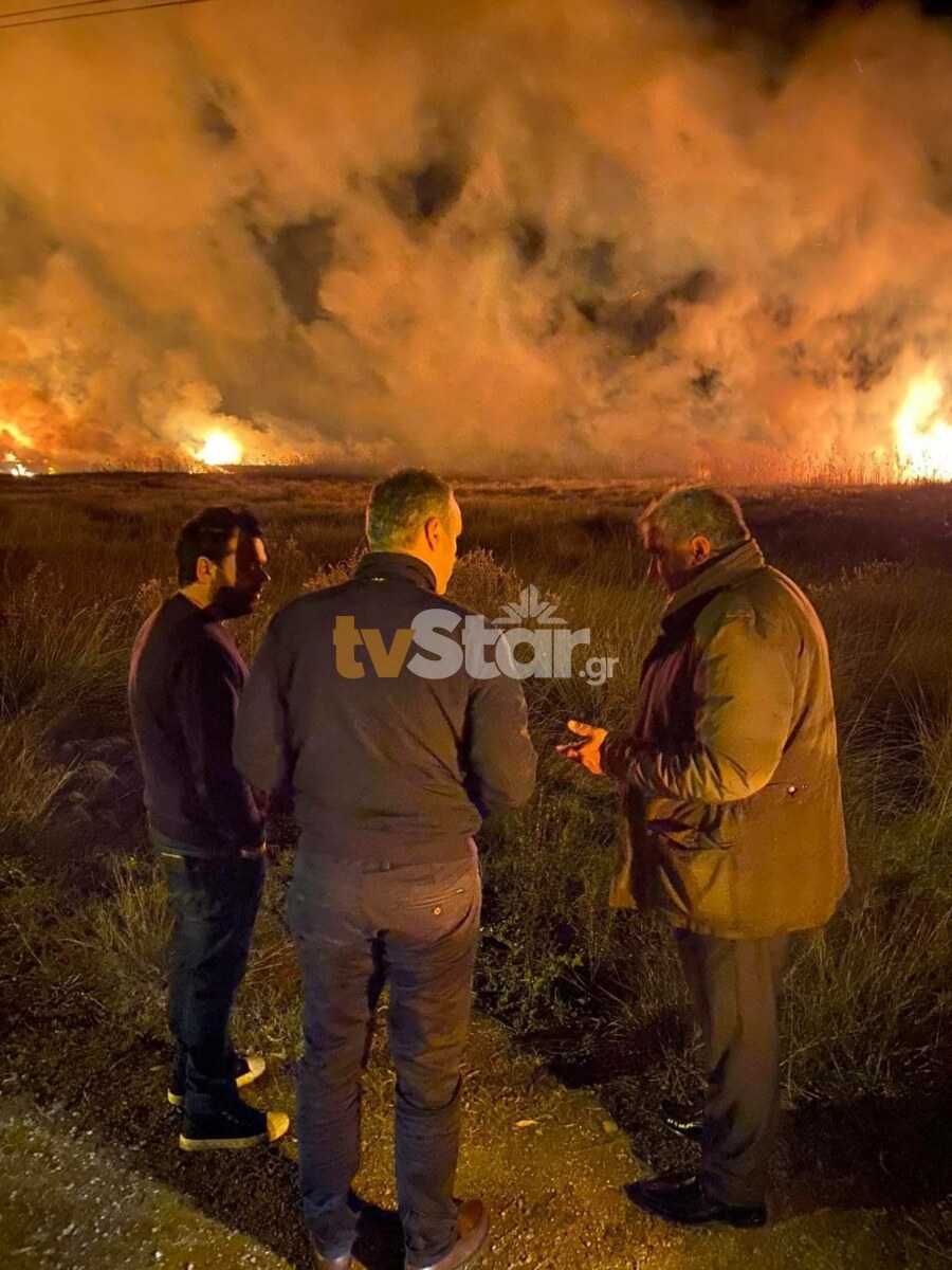 Φωτιά σε Υγροβιότοπο έξω από τα Ψαχνά (video) – tvstar.gr