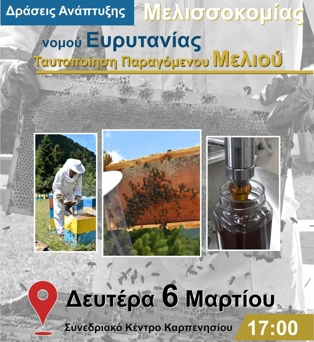 Καρπενήσι: Δράσεις για την ανάπτυξη της μελισσοκομίας και την ...
