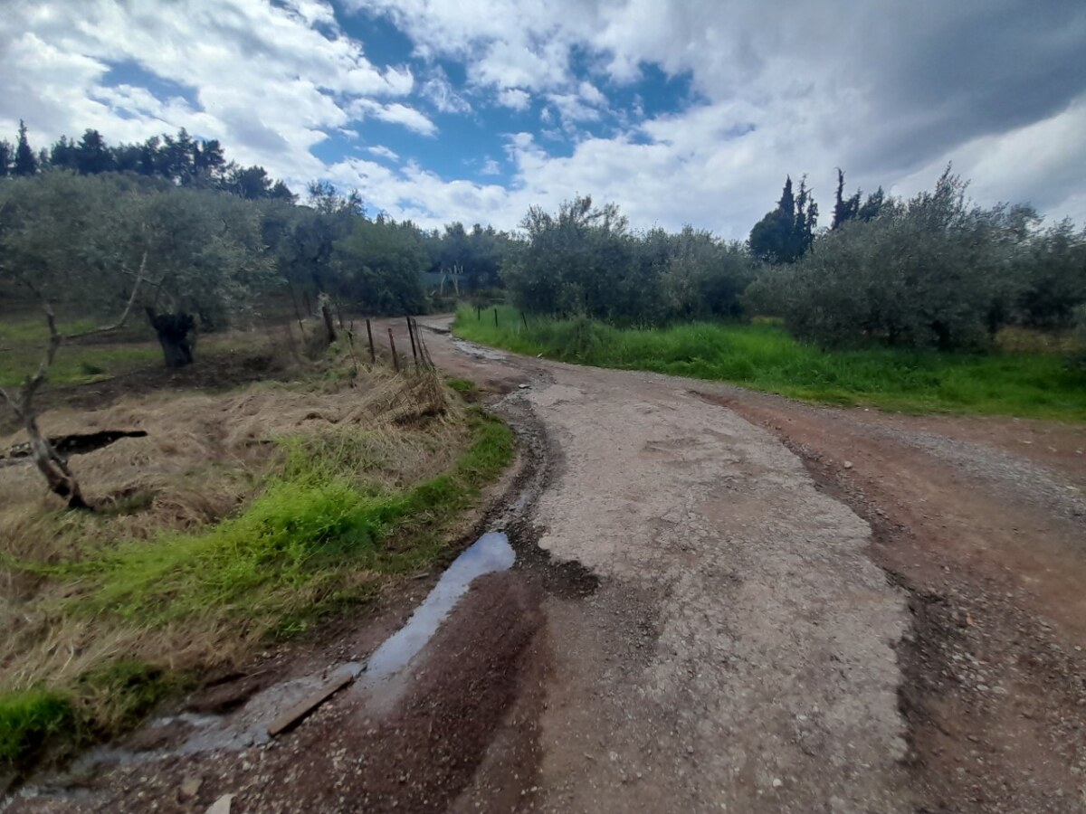 Υπεγράφη η σύμβαση για το έργο Αγροτικής Οδοποιίας του Δήμου Στυλίδας ...