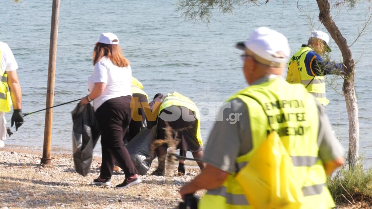 Παραλία Πλάκα Δηλεσίου. Εθελοντικός καθαρισμός ακτής (video-photo ...