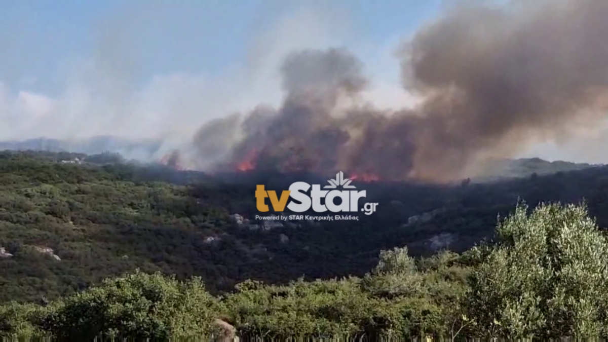 Καίει ακόμη η φωτιά στο Μαρτίνο – tvstar.gr