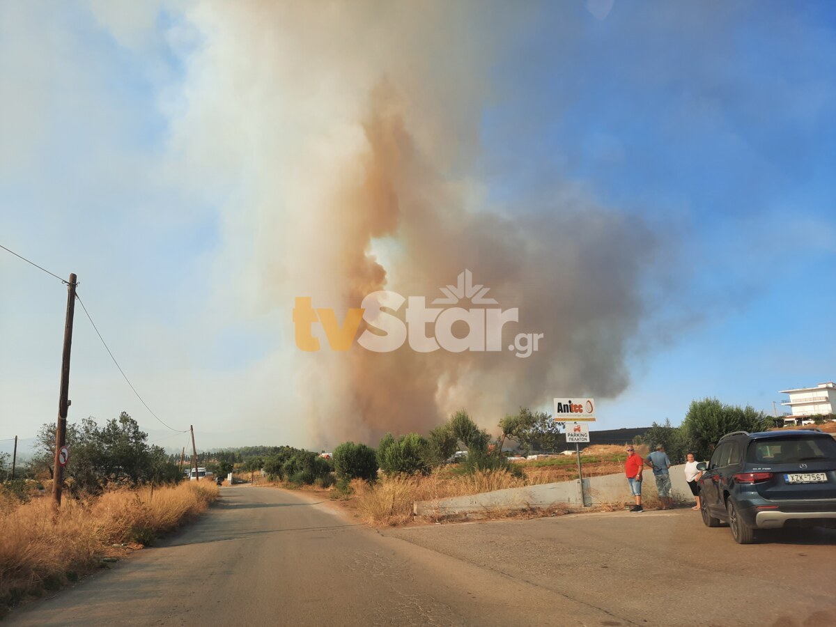 Την κήρυξη σε κατάσταση έκτακτης ανάγκης της Νέας Αρτάκης αιτήθηκε η ...
