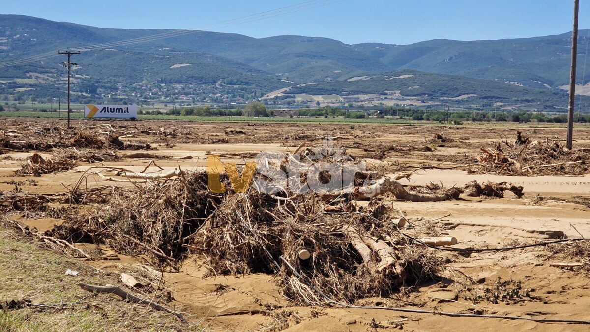 Ανυπολόγιστη η καταστροφή σε χιλιάδες στρέμματα στον δήμο Δομοκού ...