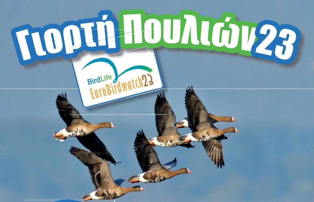 "Γιορτή πουλιών" την Κυριακή στην Ανθήλη – tvstar.gr