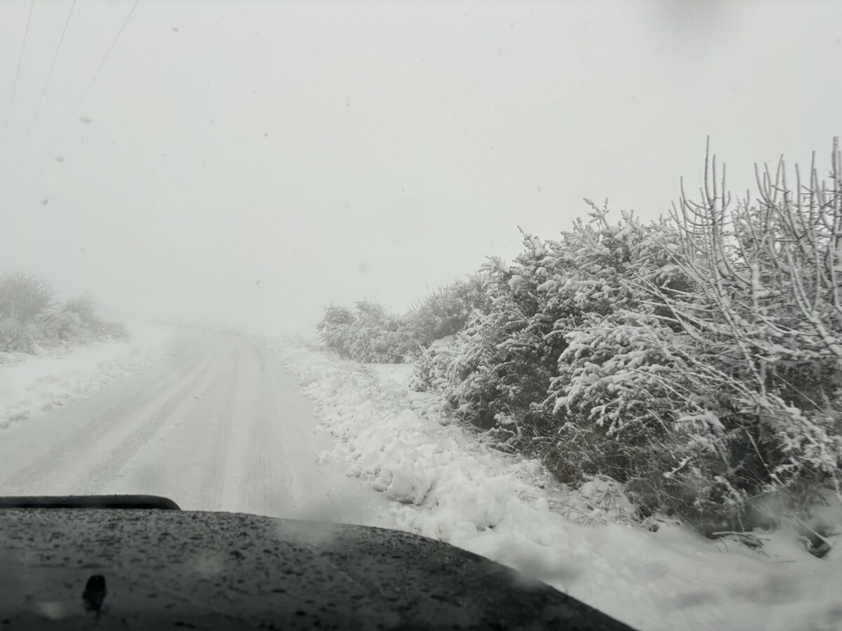 Κακοκαιρία AVGI-Που χιονίζει στη Φθιώτιδα (φώτο+βίντεο) – tvstar.gr