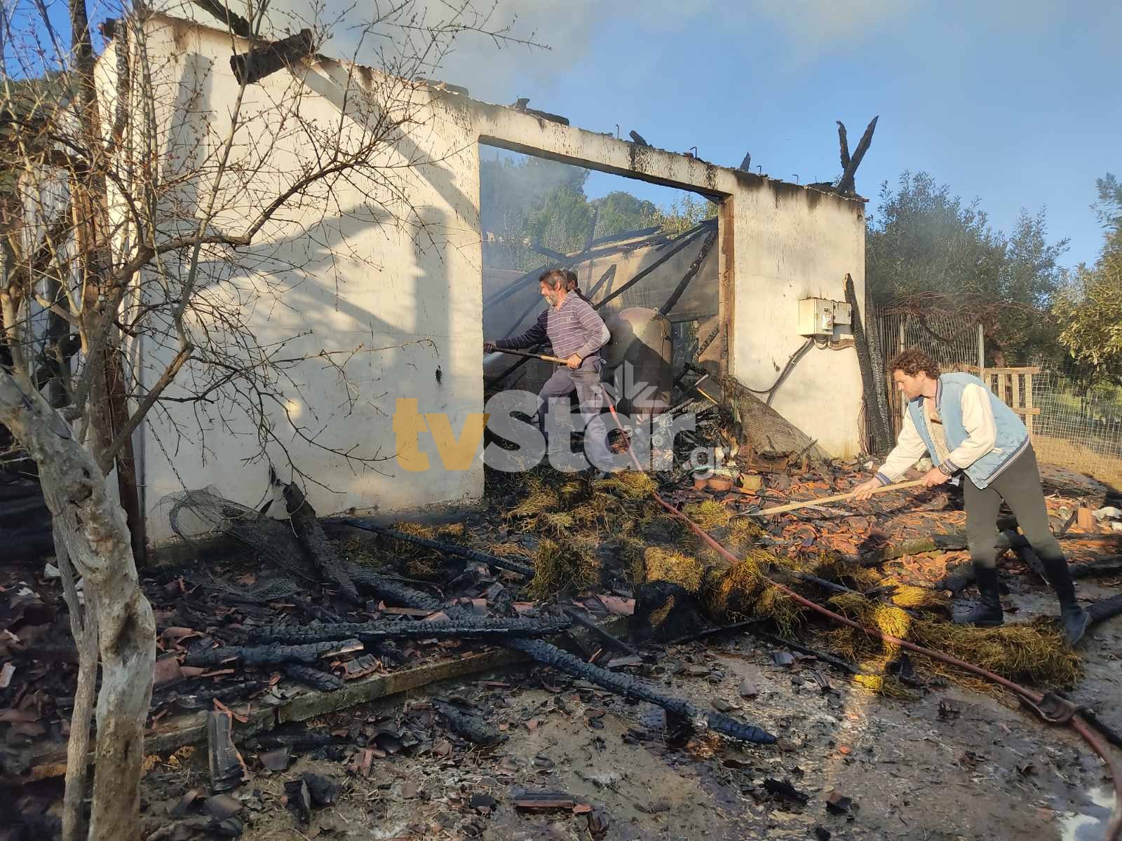 Φθιώτιδα: Κάηκαν ζώα μετά από φωτιά σε αποθήκη. (φωτο) – tvstar.gr