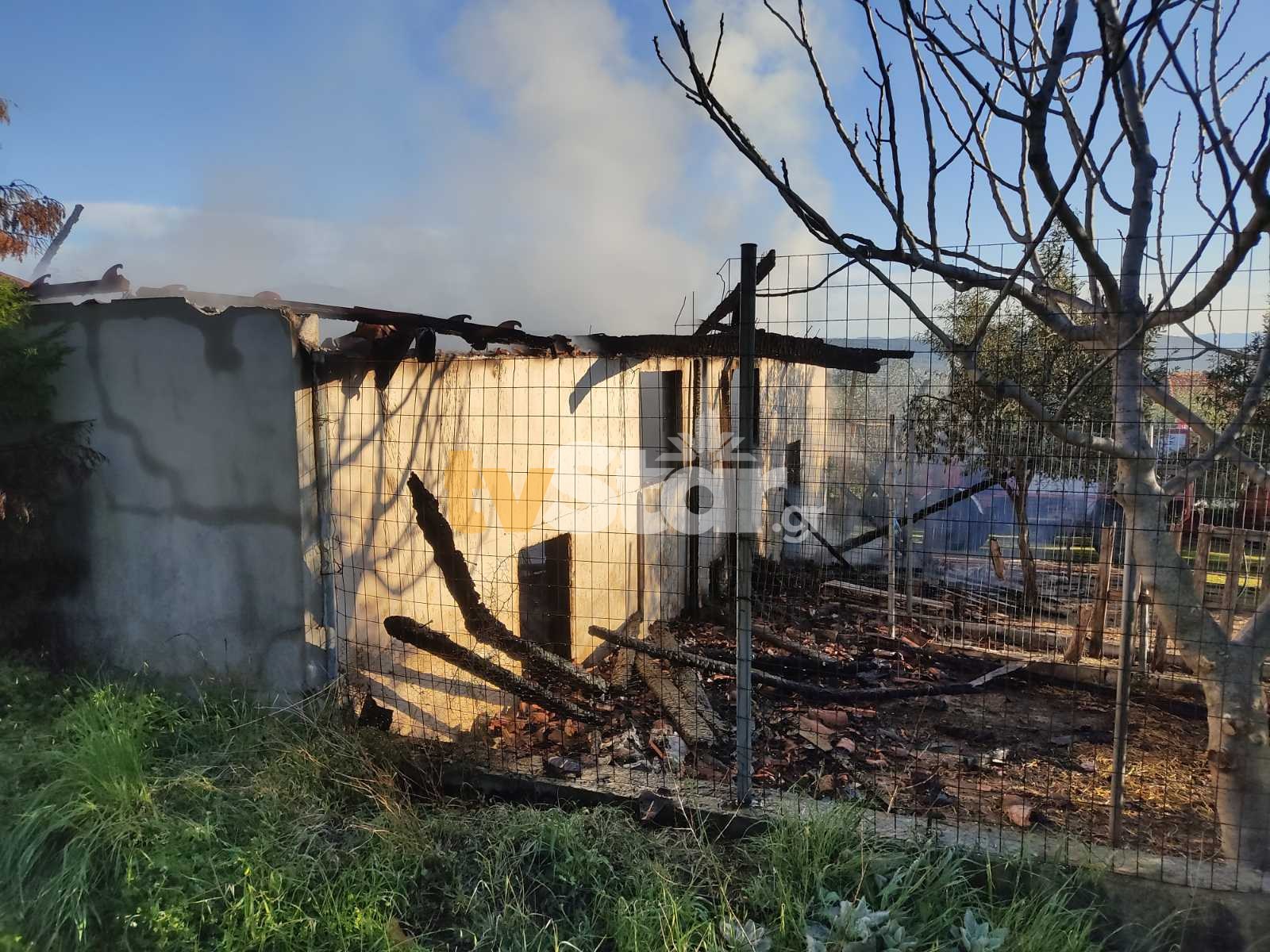 Φθιώτιδα: Κάηκαν ζώα μετά από φωτιά σε αποθήκη. (φωτο) – tvstar.gr
