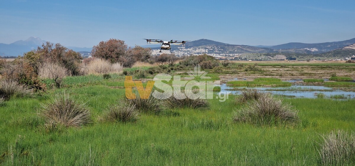 Ψεκασμοί με Drones στον κάμπο της Λαμίας κατά της όχλησης των ...