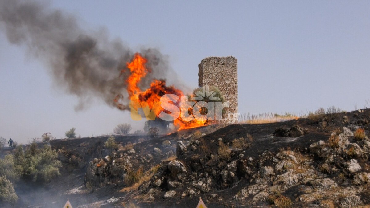 Πυρκαγιά ξέσπασε στην Αλίαρτο: Τρία τα μέτωπα της φωτιάς- Στη μάχη της κατάσβεσής 2 εναέρια μέσα ...