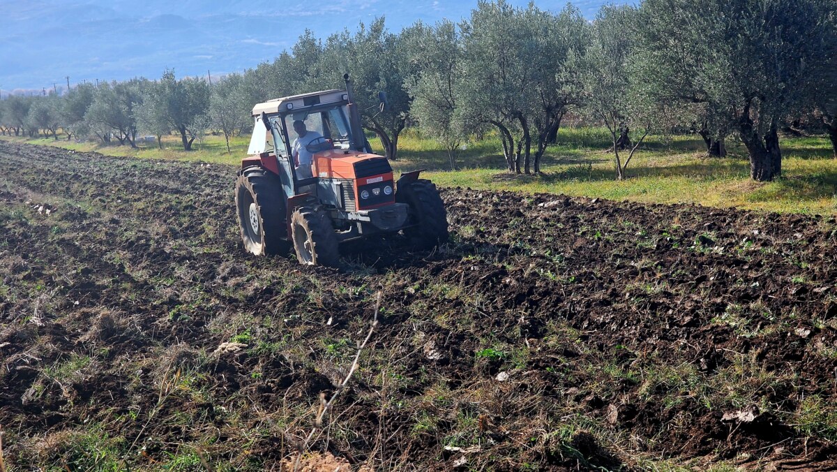 Δύσκολη χρονιά για τους αγρότες. Δεν μπορούν να πληρώσουν τις ...