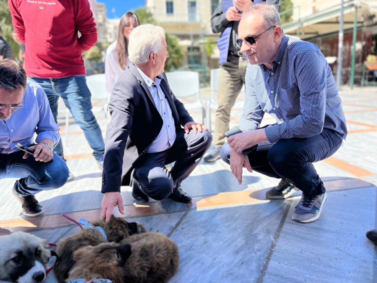 Δράσεις για τη στείρωση αδέσποτων ζώων στο Δήμο Λαμιέων – tvstar.gr