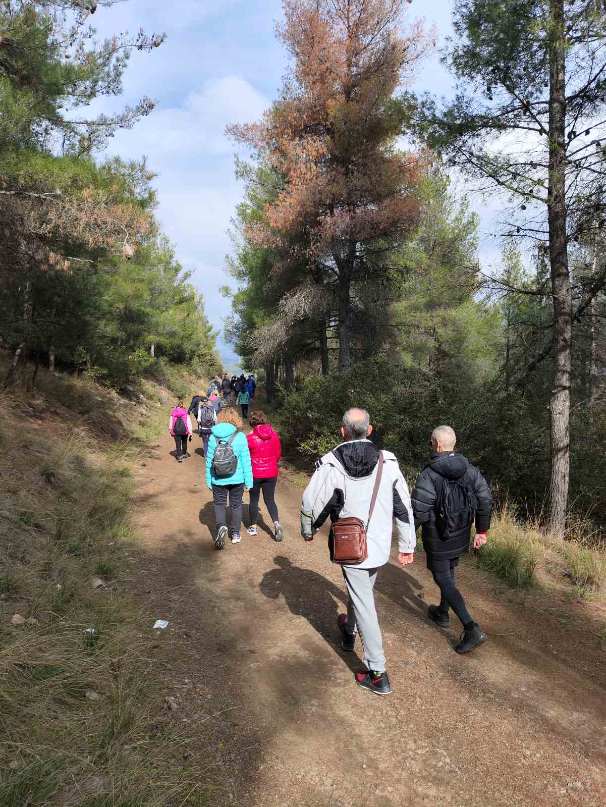 Μια ακόμη πεζοπορική διαδρομή από τον Όμιλο Φίλων Δάσους Λαμίας ...