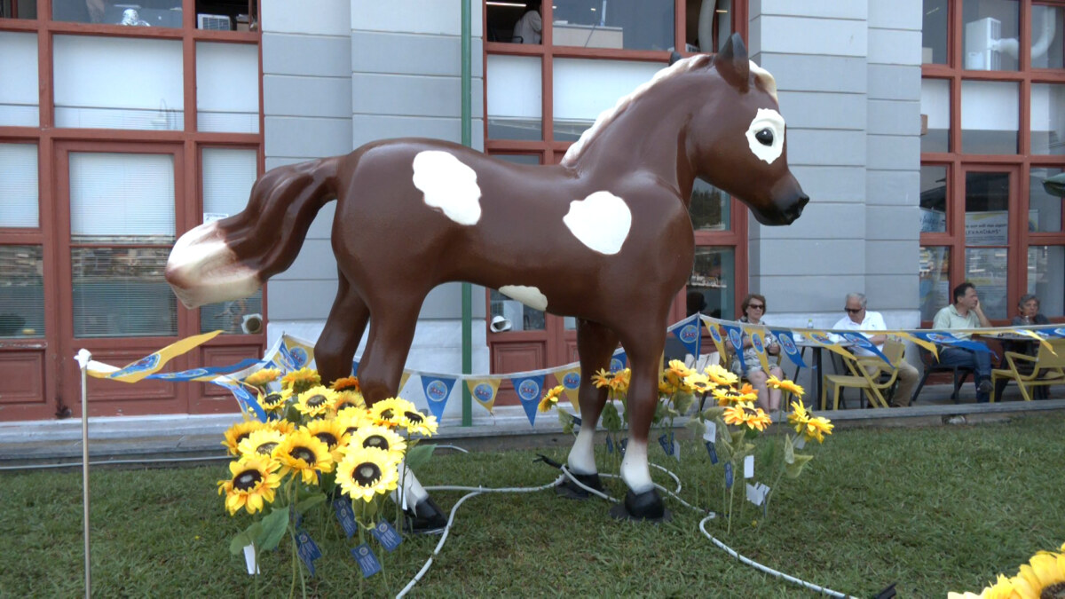 21 και 22 Ιουνίου ένα λουλούδι για τα παιδάκια με σοβαρές ασθένειες στον Κήπο του Αλέξανδρου ...