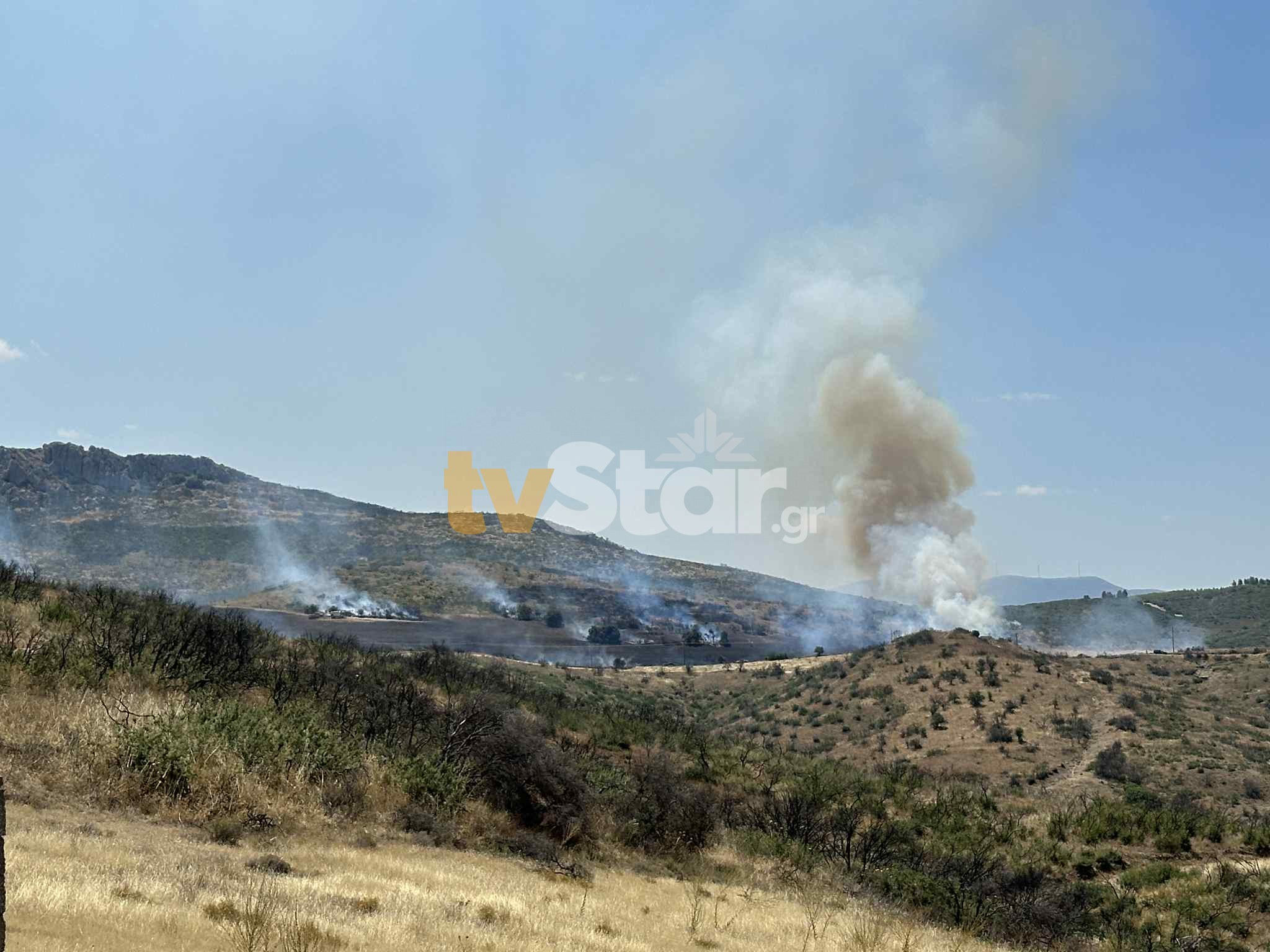 Φωτιά στη Θήβα, κοντά στον ΧΥΤΑ και στο δάσος του Μοσχοποδίου – tvstar.gr