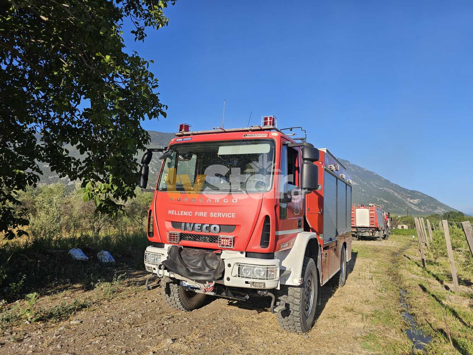 Βοιωτία: "Καυτό" πρόστιμο από την Πυροσβεστική - Άναψε φωτιά για να κάψει σκουπίδια – tvstar.gr