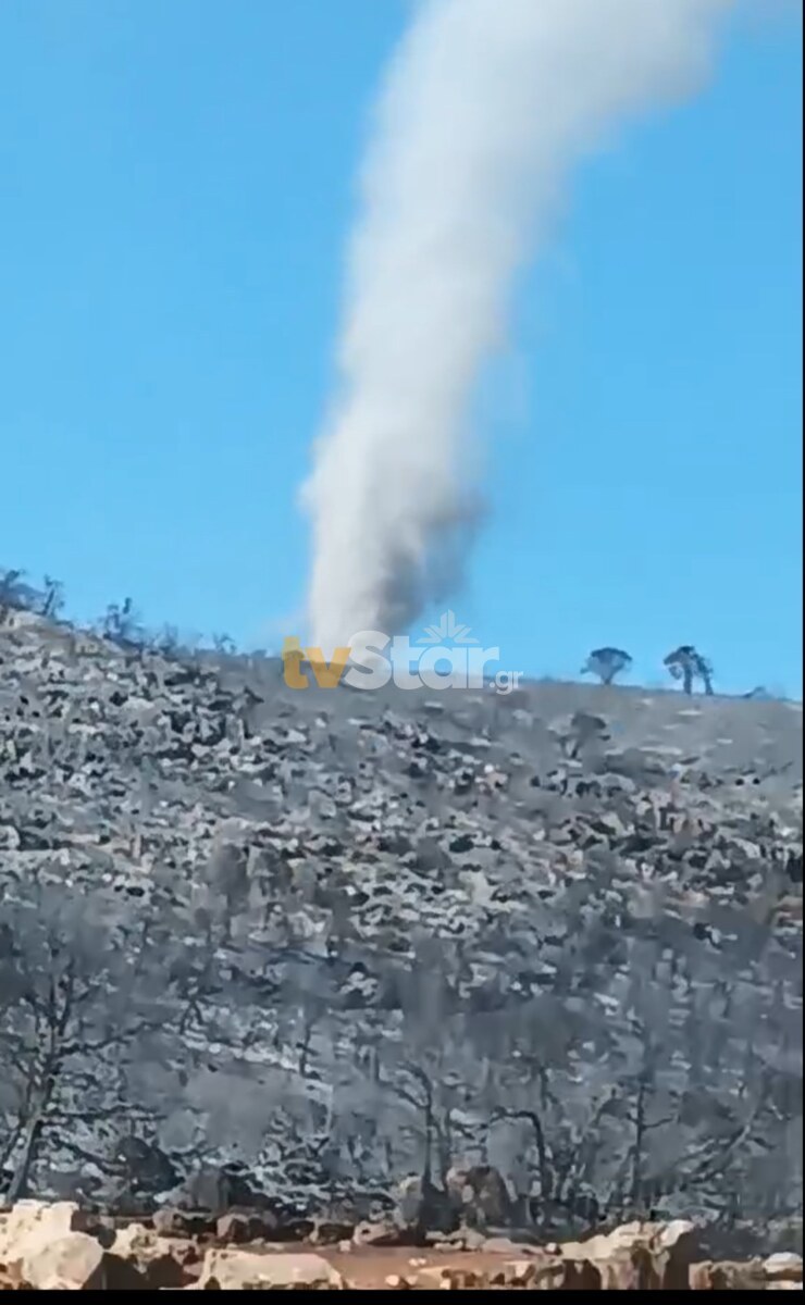 Απίστευτος στροβιλισμός στα καμένα της Εύβοιας – tvstar.gr