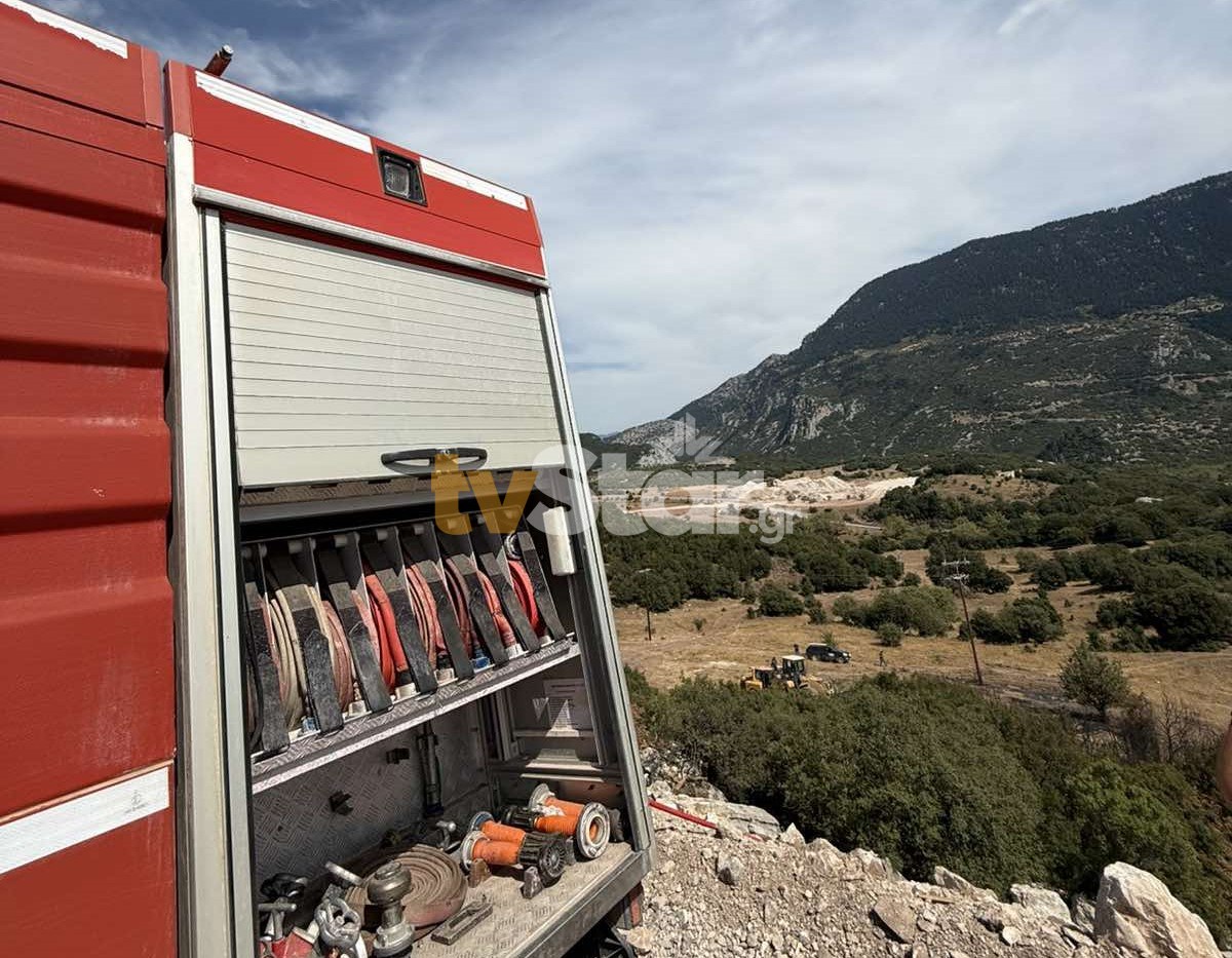 Πυρκαγιές σε Λαμία και Βάργιανη κινητοποίησαν την Πυροσβεστική Υπηρεσία ...
