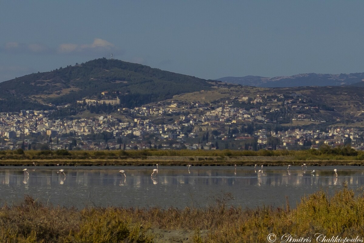 Ο Όμιλος Φίλων του Δάσους τίμησε τη "Γιορτή των πουλιών" (φωτο) – tvstar.gr