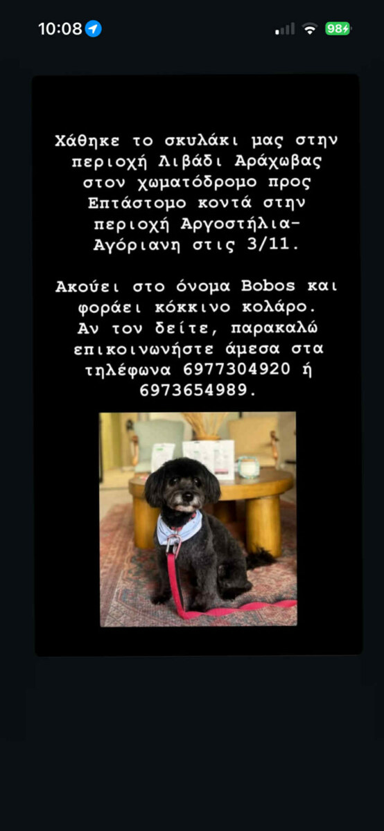 'Έκκληση για το σκυλάκι τους που έχασαν στον Παρνασσό – tvstar.gr